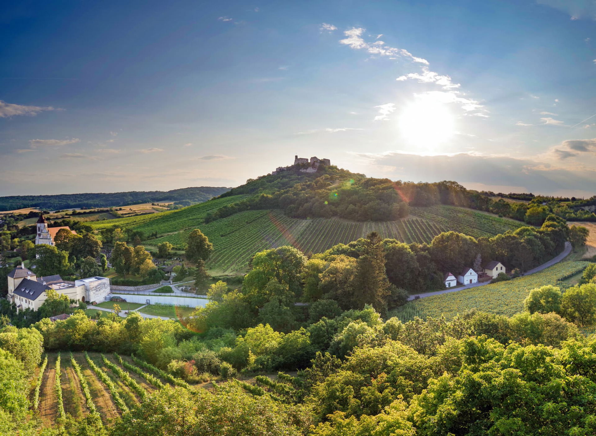 Die traumhaftesten Weingebiete in Österreich | 1000things