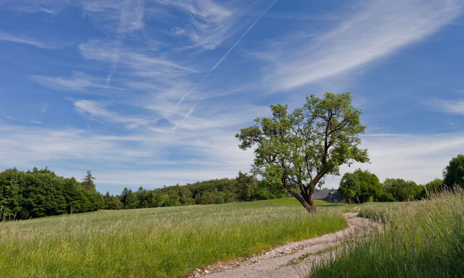 10 Dinge, die ihr im Wienerwald machen solltet | 1000things