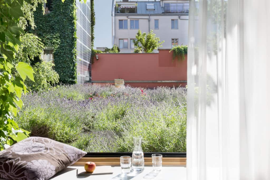 Unsere Top 10 Hotels in Österreich im Juli 2024 | 1000things