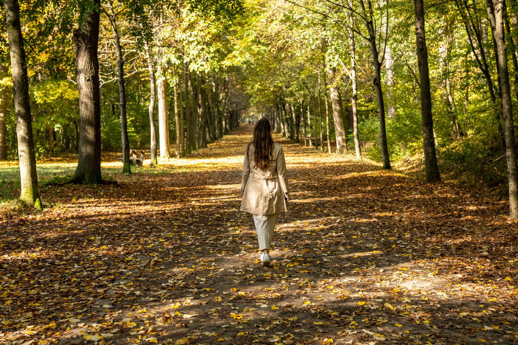 Die schönsten Ausflugsziele für den Herbst in und um Wien | 1000things