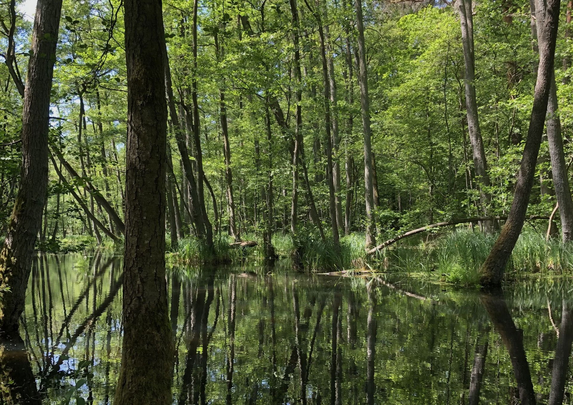 7 Ausflugstipps in und um Berlin | 1000things