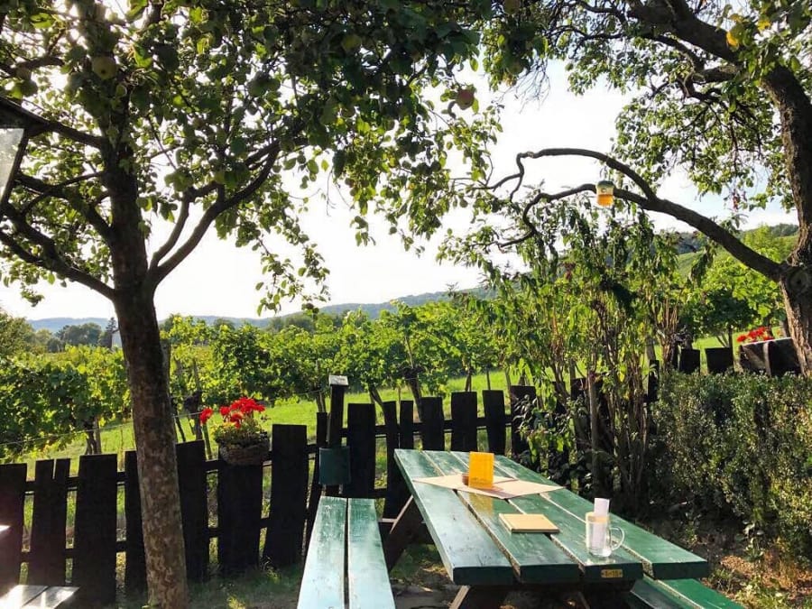 Die 7 besten Heurigen in Neustift am Walde | 1000things