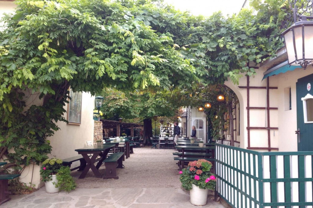 Die 7 besten Heurigen in Neustift am Walde | 1000things